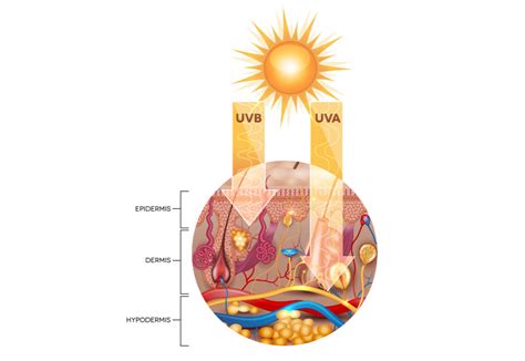 UVA And UVB Radiation Dermalaser Beauty Lounge