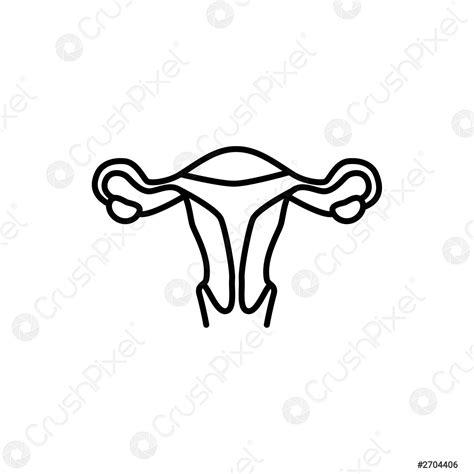 Female Reproductive System Sign Simple Line Vector Icon Stock Vector