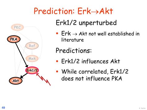 Ppt Bayesian Network Models Of Biological Signaling Pathways Powerpoint Presentation Id 3085086
