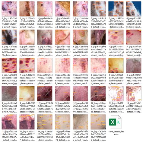 基于yolov8s与se注意力机制的猪疾病检测系统pyqt5界面数据集训练代码猪瘟数据集 Csdn博客