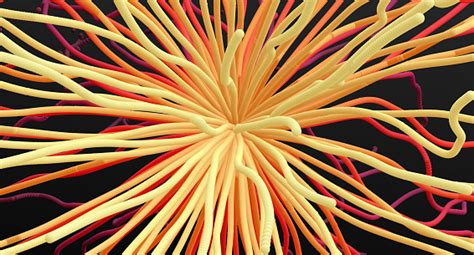 포인트가 폭발합니다 동적 방출 입자가 있는 배열입니다 3d 기술 스타일 추상적 배경입니다 벡터 그림입니다 3차원 형태에 대한 스톡 벡터 아트 및 기타 이미지 Istock