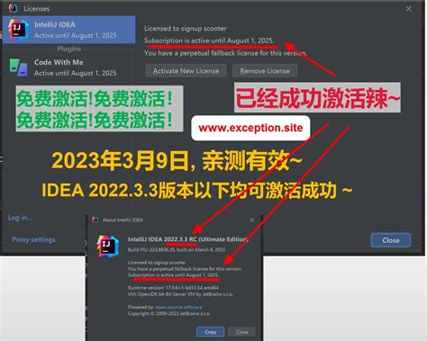 idea 2022 3 3 破解安装教程 附激活码 2023最新 超好用 犬小哈教程