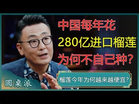 中国每年花280亿进口榴莲为何不自己种榴莲今年为何越来越便宜 窦文涛 梁文道 马未都 周轶君 马家辉 许子东 YouTube