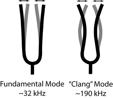 Two Modes Of A Tuning Fork The Fundamental Mode Is Used In AC Imaging Download Scientific