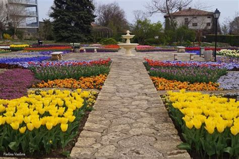 Хотел за насекоми е сред най новите атракции в Ботаническата градина в Балчик Български Фермер