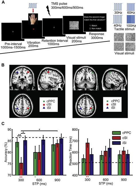 A Schematic Diagrams Of The Cross Modal Working Memory Task Sptms Is