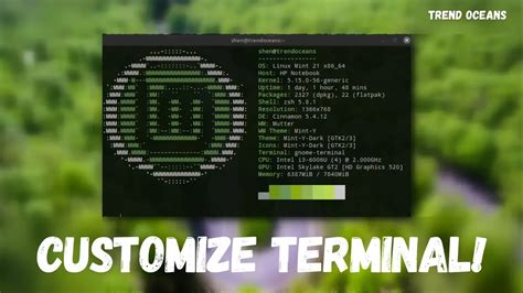 Learn How To Customise The Linux Terminal To Make It Look Awe Artofit