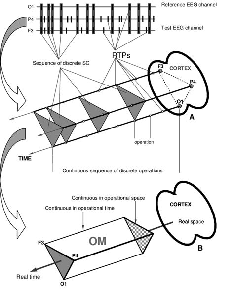 Eeg Operational Synchrony Schematic Presentation A Technical