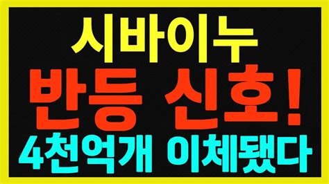 시바이누 반등 시그널 출현 이제 가는건가 Youtube