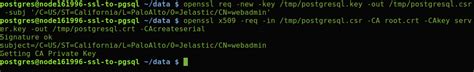 Establish Secure Ssl Connection To Postgresql Database Server Virtuozzo