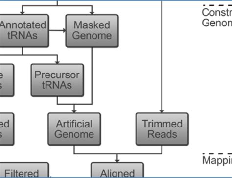 Contextmap 2 Fast And Accurate Context Based Rna Seq Mapping Rna Seq Blog