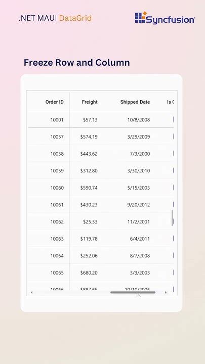 Frozen Rows And Columns In Net Maui Datagrid Youtube