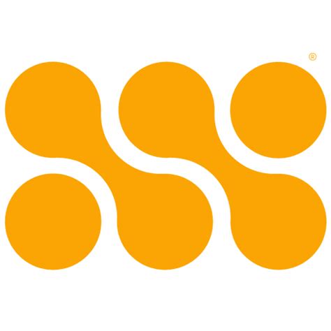 Wordpress Vs Custom Development Which Is Best For Your Business Mouttahid Consulting Web