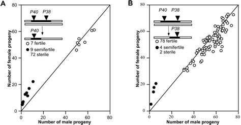 Sex Ratio Segregation Distortion Associated With Reproductive Isolation In Drosophila PMC