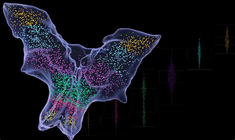 Imaris 9 6 3d 4d Image Visualization And Analysis With Deconvolution Microscopy Software