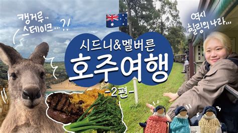 🇦🇺일주일 호주여행기 2 그레이트오션로드🐨 필립섬 펭귄 3월 시드니and 멜버른 여행 ️ 캥거루와의 대담