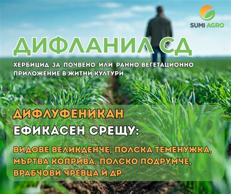 Summit 🌱 Чисто поле за бърз и силен старт на зърнено житните култури през есента 🟢 ДИФЛАНИЛ