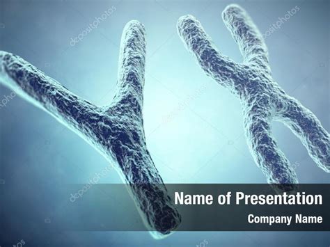 Xy Chromosome Powerpoint Template Xy Chromosome Powerpoint Background