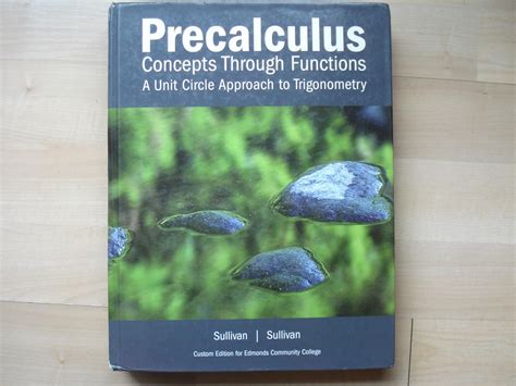 Precalculus Concepts Through Functions A Unit Circle Approach To