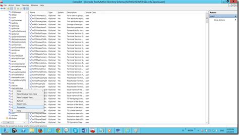 How To Custom Attributes In Active Directory In Windows Server 2012 Adds Sharepoint Pals