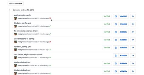 Checks Interface For Github Pages Disappeared After Nojekyll · Community · Discussion 22508