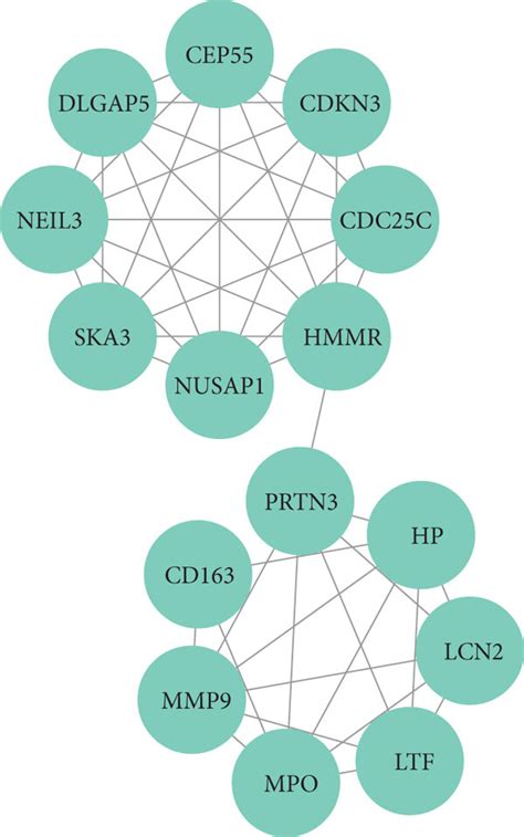 Pca And Volcano Plots Of Gse45376 And The Ppi Network Of Hub Genes A