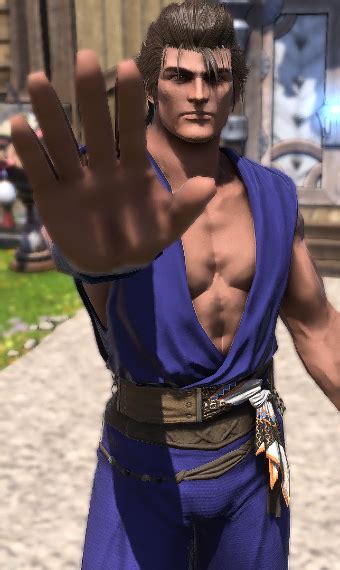 Adult Gohan Eorzea Collection