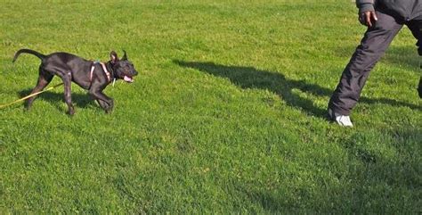 Comparison Of Shadow Detection On Sbu Dataset A Input Image B Download Scientific Diagram