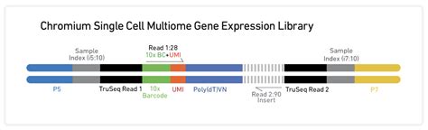 Ngi Sweden 10x Genomics Epi Multiome Atac Gene Expression