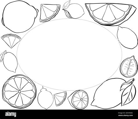 Lemon Whole And Slices Rectangle Frame Vector Black And White Graphic