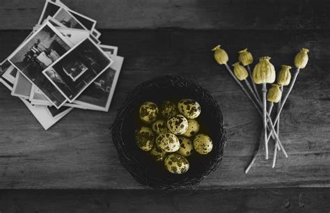 Image Classification On Mobile With Flutter Tensorflow Lite And