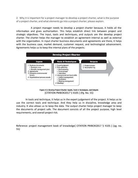 Assignment Project Integration Management Integration 4qn2docx Why