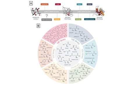 Early Selection Of The Amino Acid Alphabet Was Adaptively Shaped By Biophysical Constraints Of