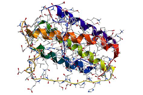 Protein Expression Shanghai Bluegene Biotech Co Ltd