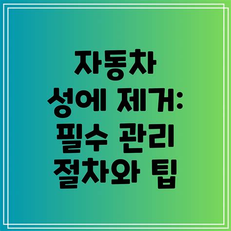 자동차 성에제거 차량 관리의 필수 절차와 팁