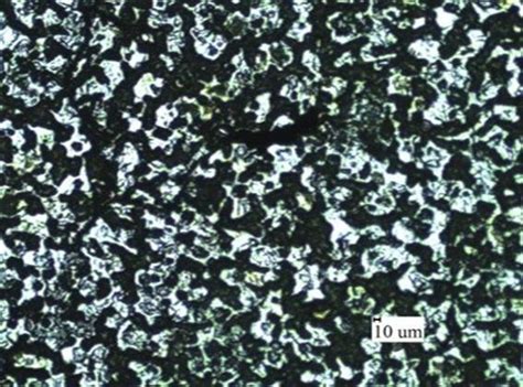Microstructure Of Specimen 1 At The Magnification Of 100x Download Scientific Diagram