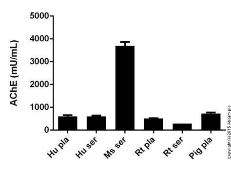 Acetylcholinesterase Assay Kit Fluorometric Red Ab138873 Abcam