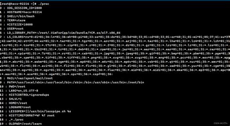 命令行参数和环境变量命令行变量 Csdn博客