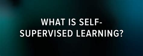 Is Self Supervised Learning The Future Of AI