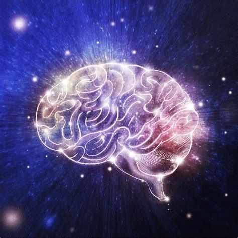 Nlp大脑蜕变实战营 实战训练 第四届 13 8 2022 Emr Academy