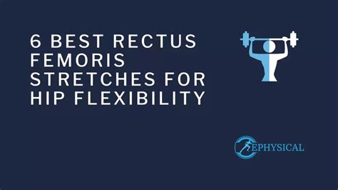 The 6 Best Rectus Femoris Stretch For Hip Flexibility