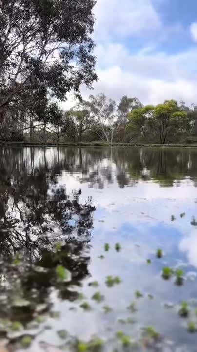 Seema Yadav On Linkedin Hydra Linnaeus Hercules Biologists