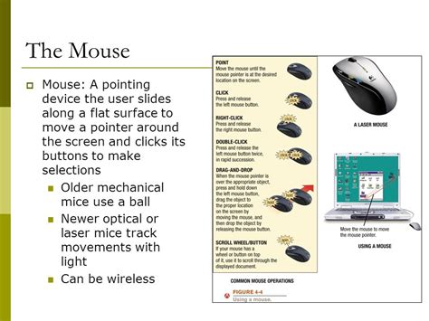 Chapter 4 Input And Output Ppt Video Online Download