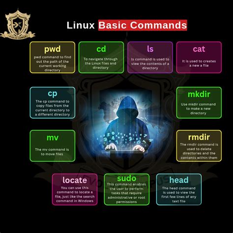 Evolvx Linux Basics Made Easy Learn The Most Commonly Used Commands