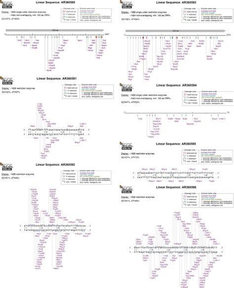 Neb Restriction Enzyme Digestion Of Unidentified Sequences Of Patents Download Scientific