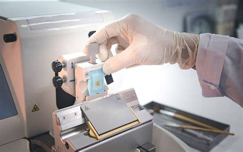 Tissue Embedding Wax Supplier Poth Hille Tissue Embedding Wax Supplier Poth Hille