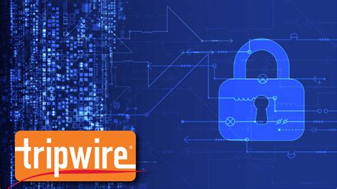 Vulnerability Scanning Vs Penetration Testing Chillisoft