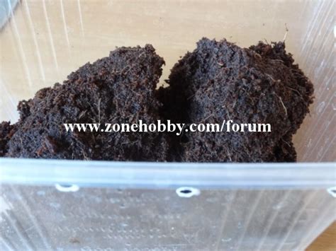 Как использовать кокосовый брикет