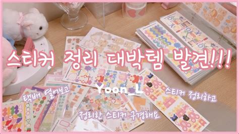 윤엘s Pick1 대박템 택배 언박싱하고 스티커 정리하고 스티커 구경까지 람찌네 소품샵 스티커정리 바인더 Youtube