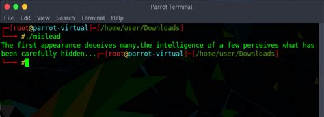 Vishwa Ctf Reverse Engineering Misleading Steps 484 Terminal Cats